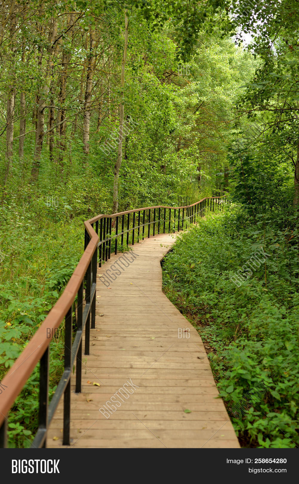Ecological Path Image & Photo (Free Trial) | Bigstock