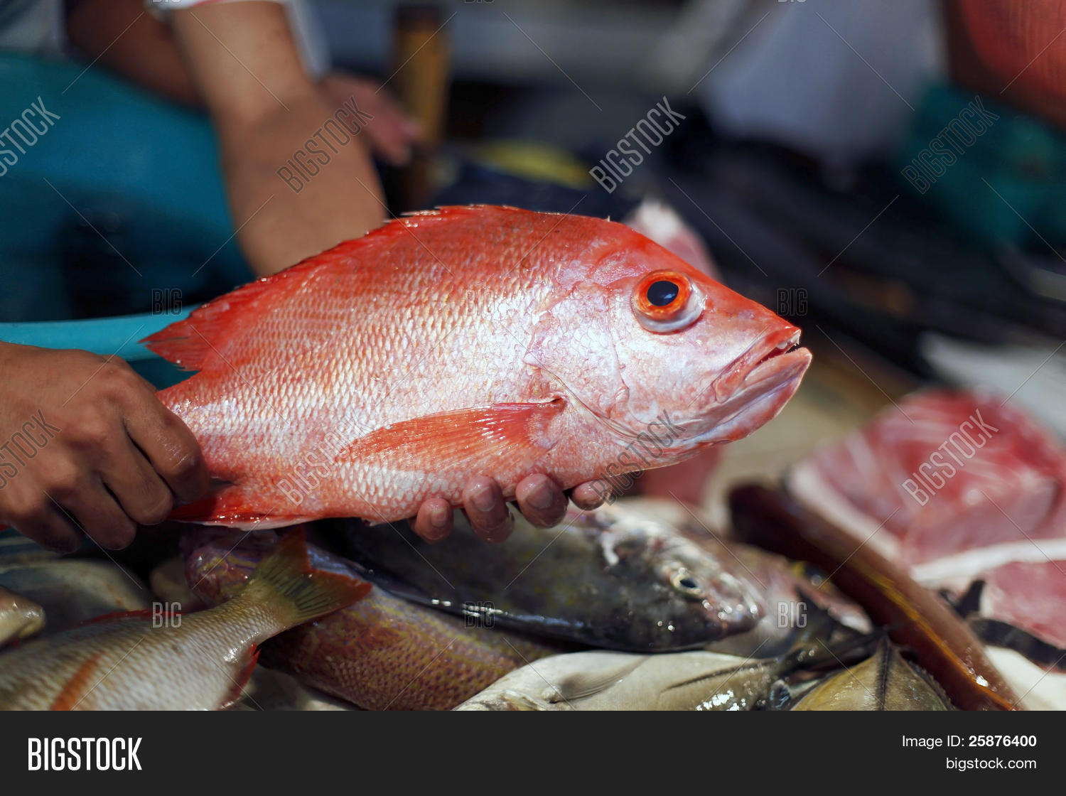 D'Talipapa Fish Image & Photo (Free Trial) | Bigstock