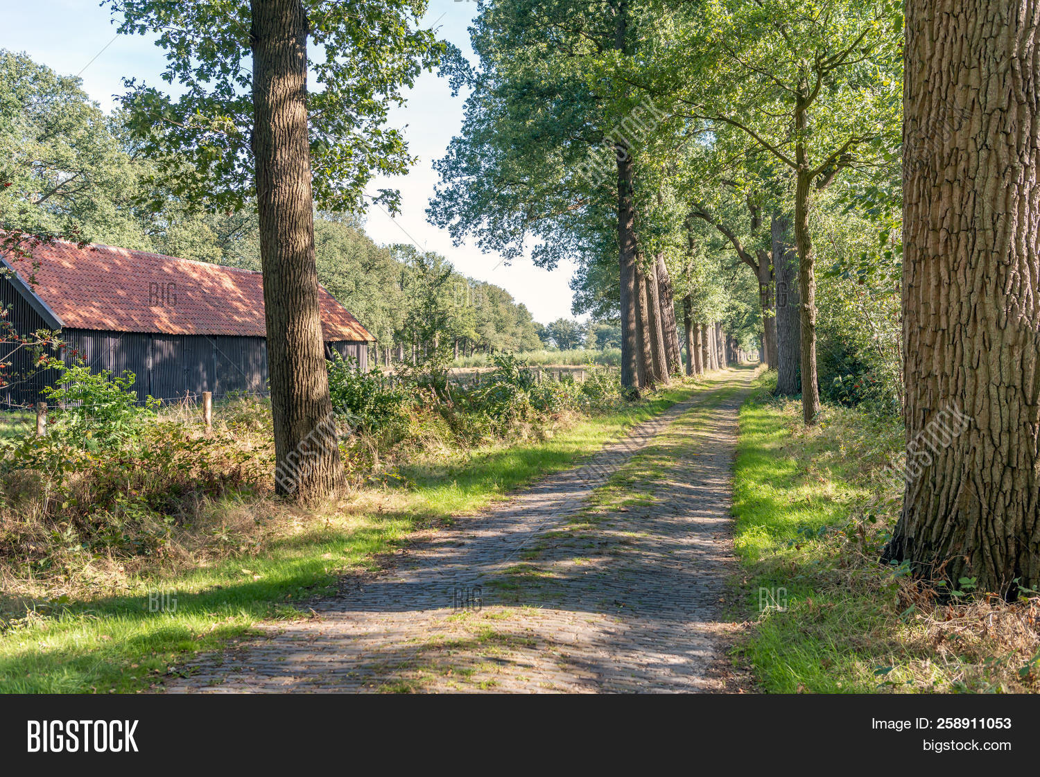 Old Dutch Country Road Image & Photo (Free Trial) | Bigstock