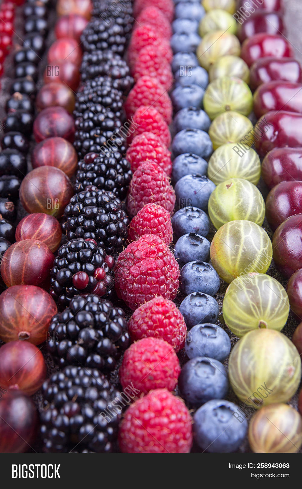 Rows Assorted Fruits Image & Photo (Free Trial) | Bigstock