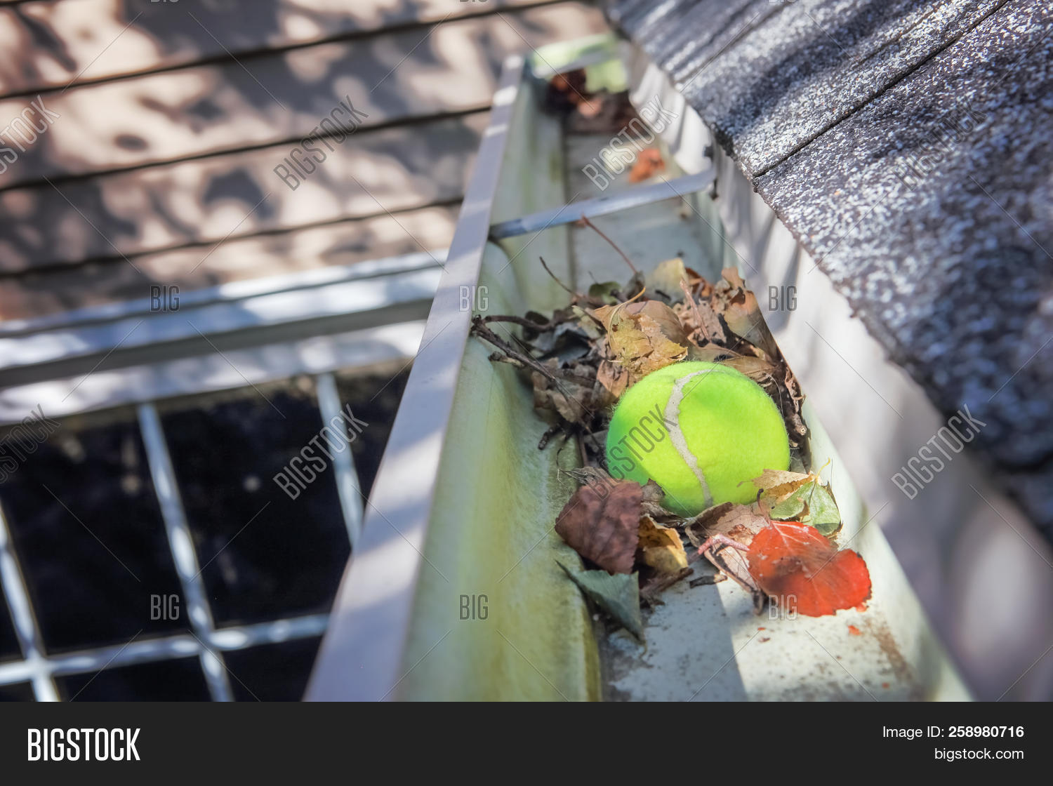 Tennis Ball Stuck Image & Photo (Free Trial) | Bigstock