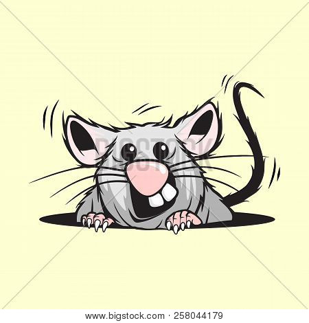 Mouse Face Cartoon Vector & Photo (Free Trial) | Bigstock