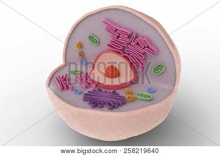 3d Rendered Image & Photo (Free Trial) | Bigstock