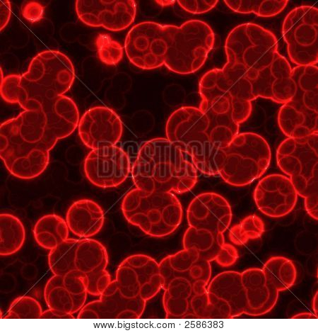 Magnified Blood Cells Image & Photo (Free Trial) | Bigstock