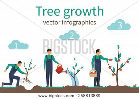 Process Growth Tree Vector & Photo (Free Trial) | Bigstock