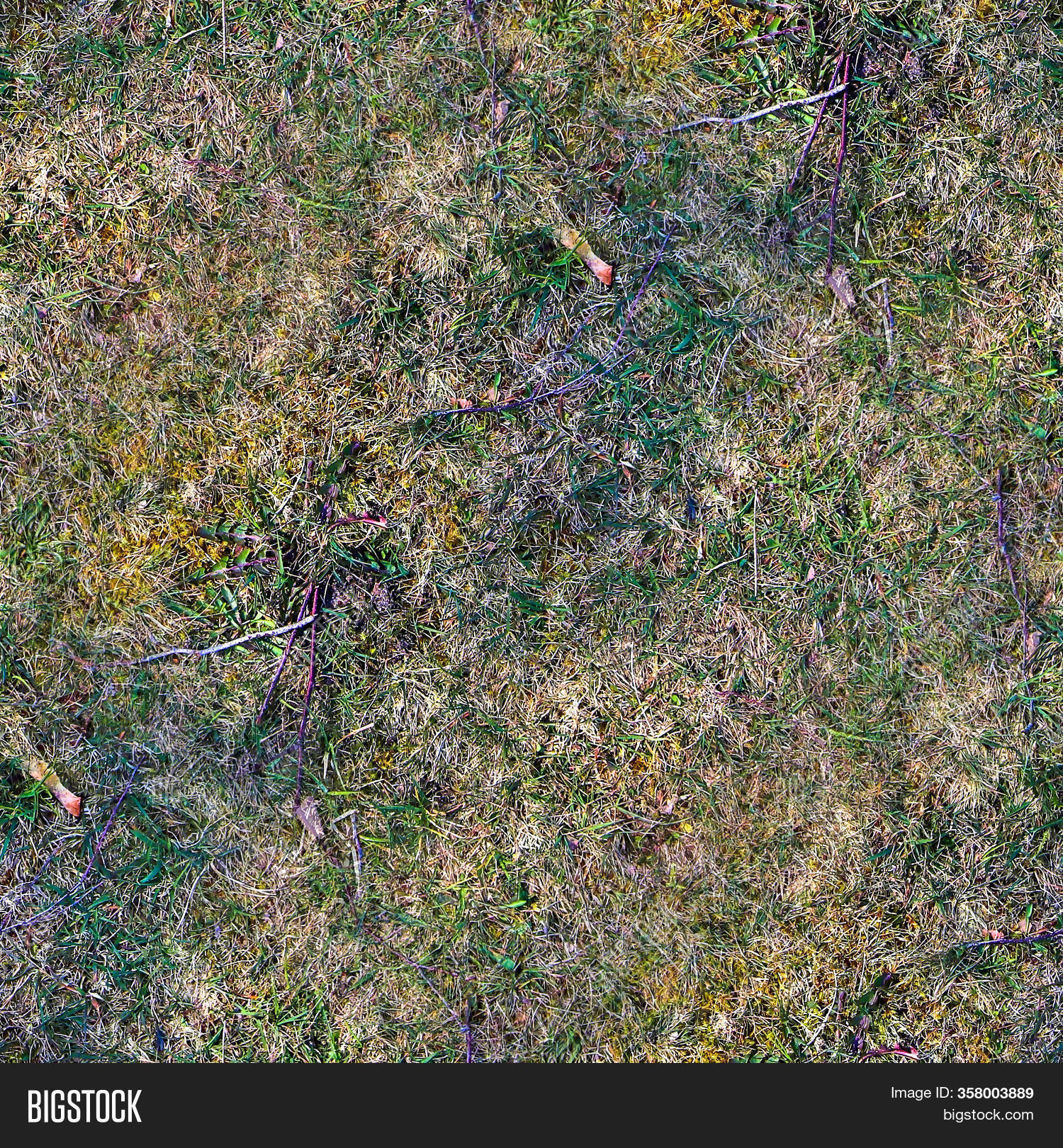 High Resolution Foto Image & Photo (Free Trial) | Bigstock