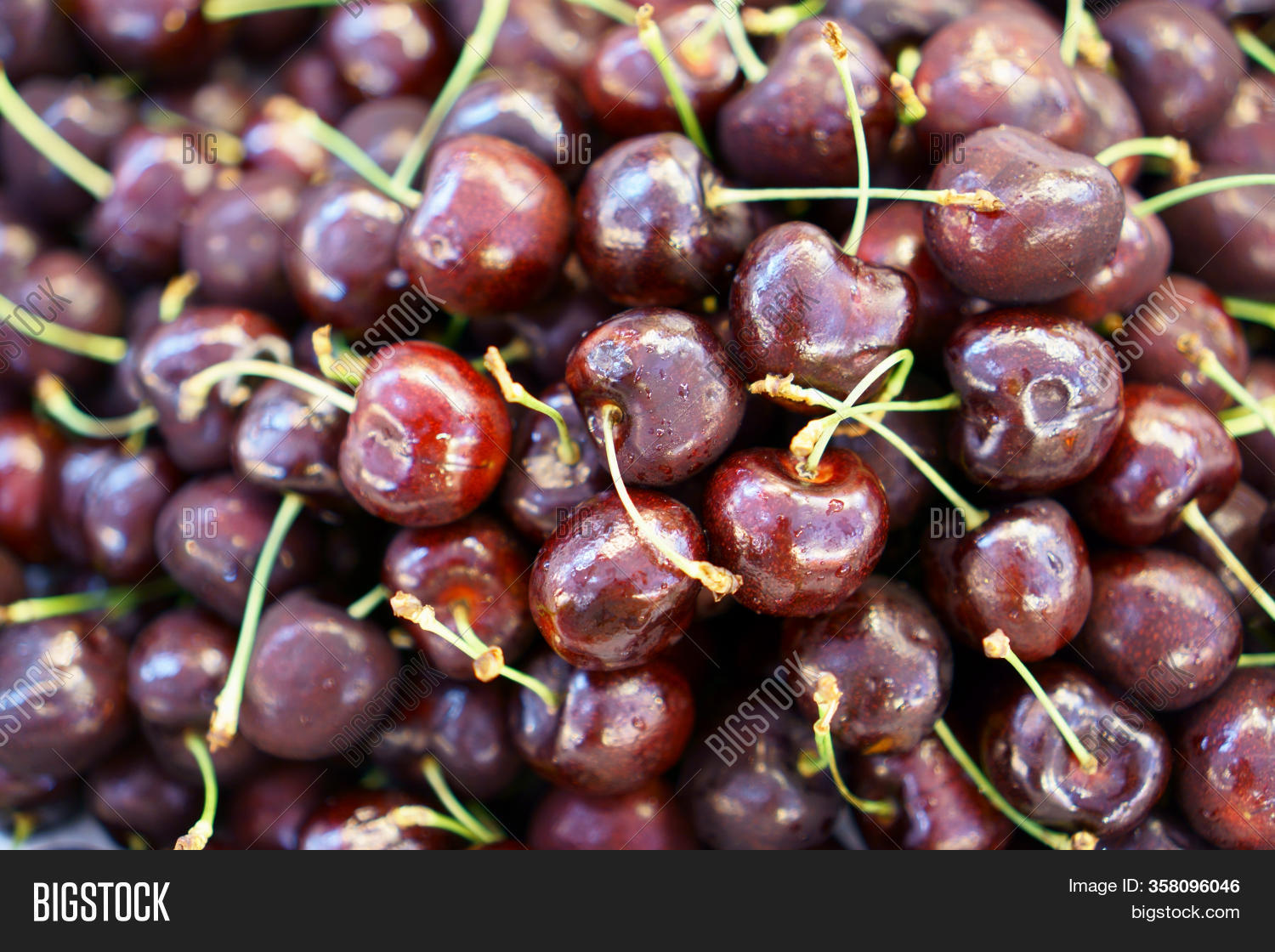 Pile Purple Color Image & Photo (Free Trial) | Bigstock