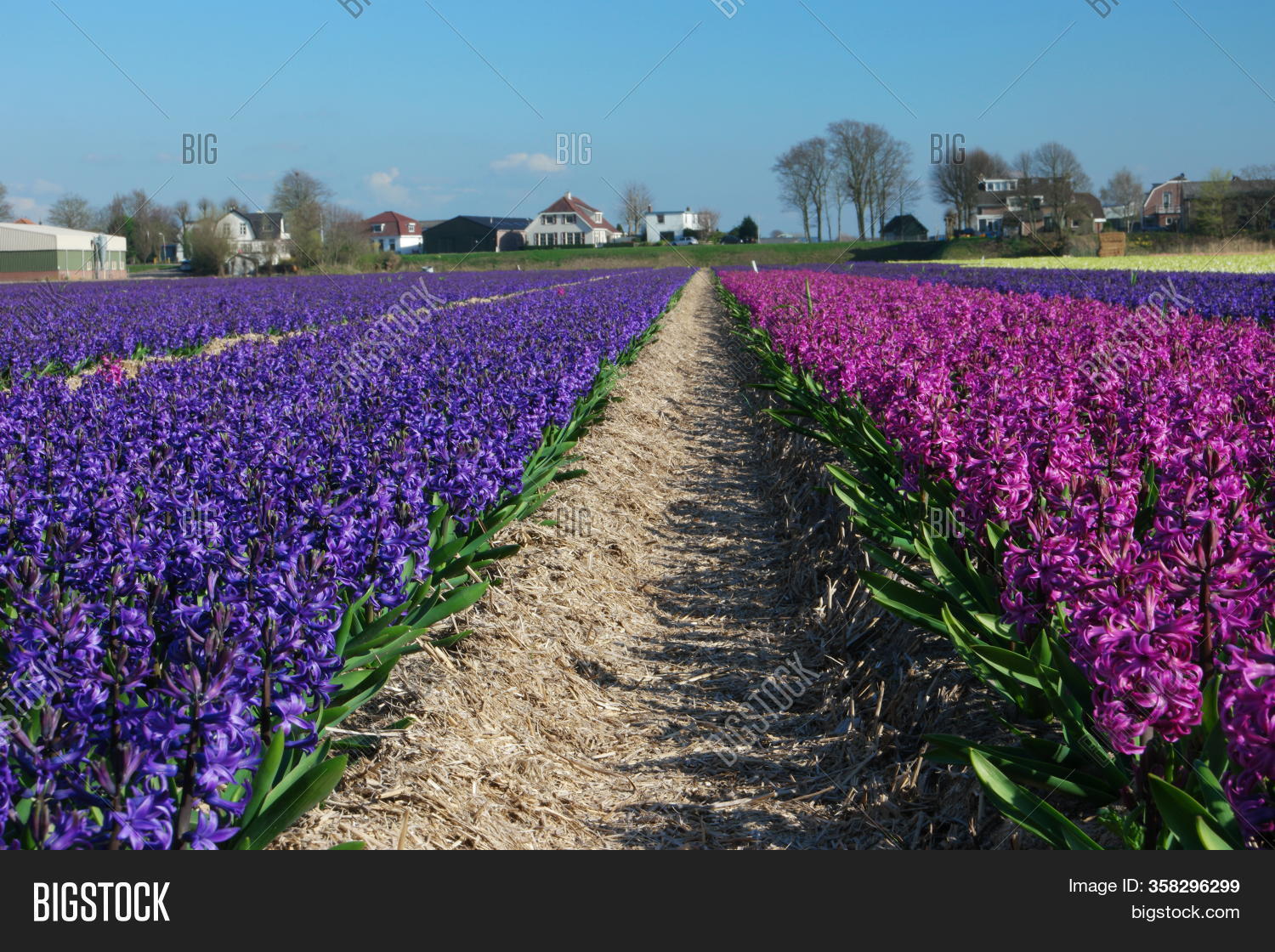 Drone Aerial View Over Image & Photo (Free Trial) | Bigstock