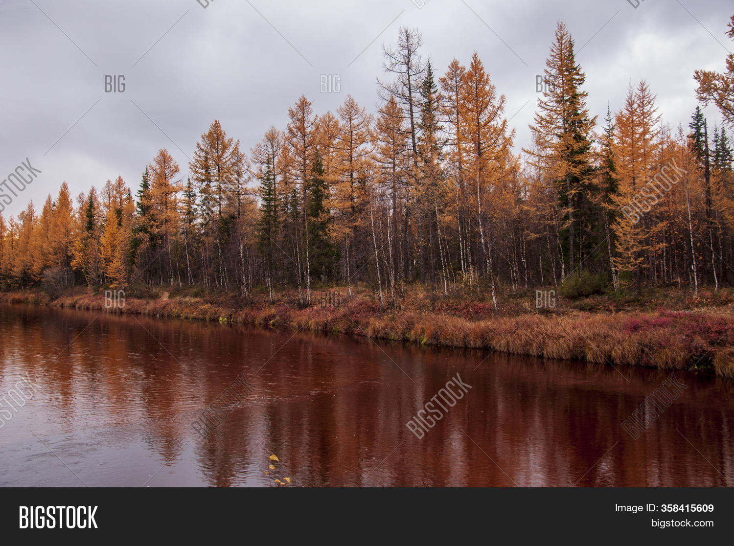 Brown River Slow Image & Photo (Free Trial) | Bigstock