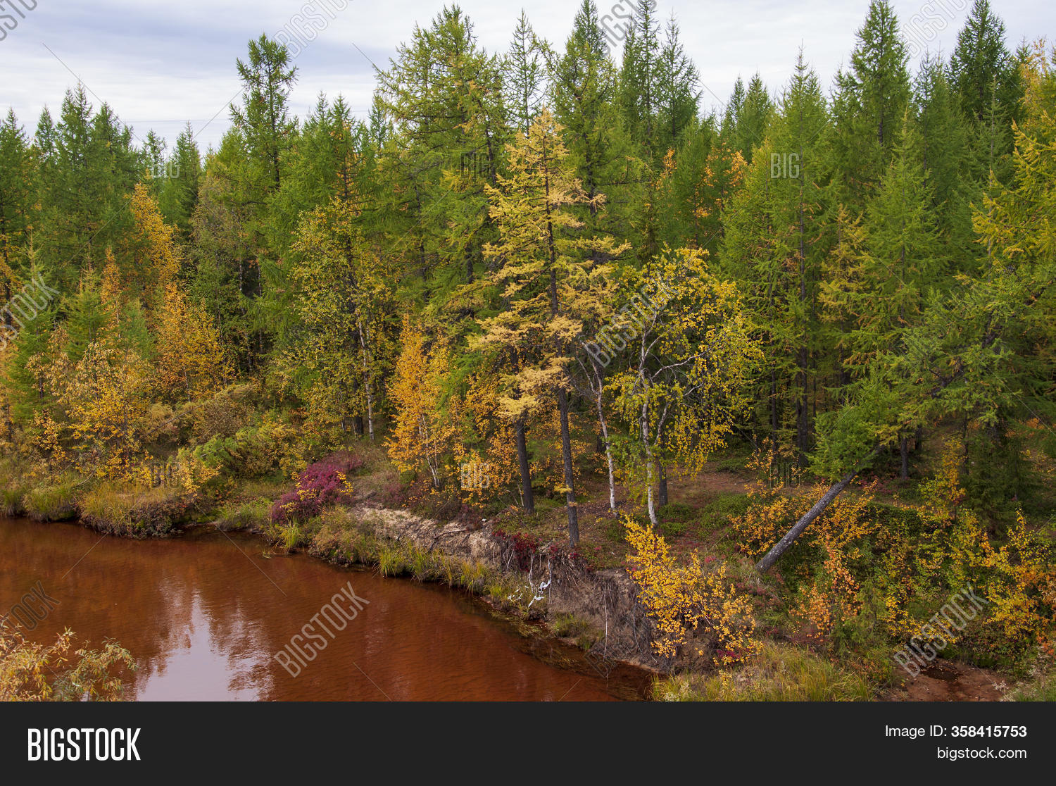 Brown River Slow Image & Photo (Free Trial) | Bigstock
