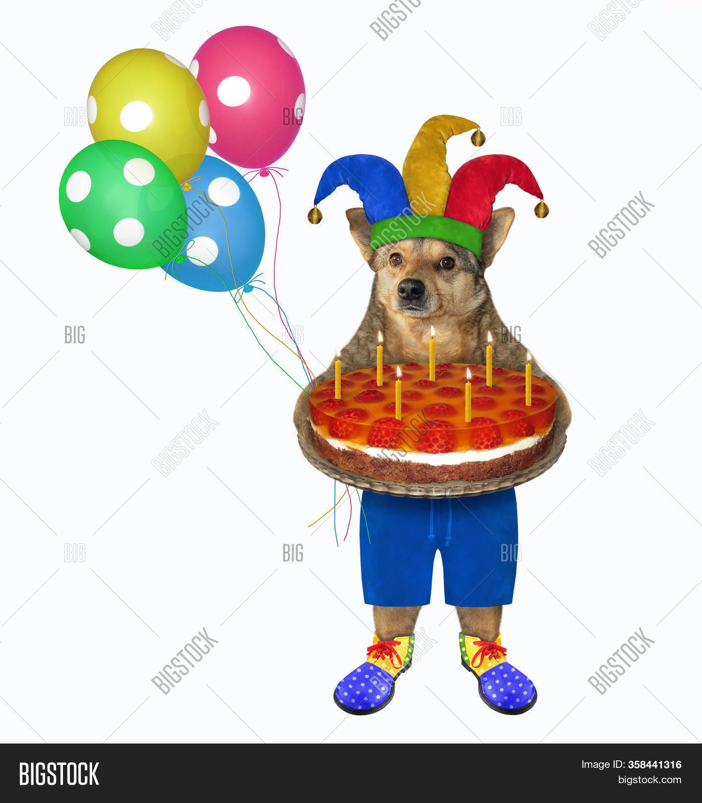 Beige Dog Jester Hat Image & Photo (Free Trial) | Bigstock