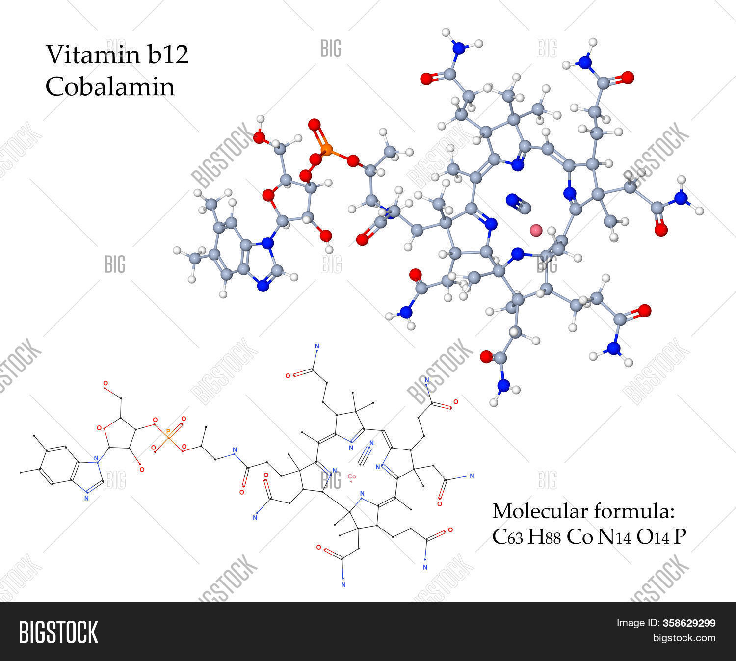 Vitamin B12 Cobalamin Image & Photo (Free Trial) | Bigstock