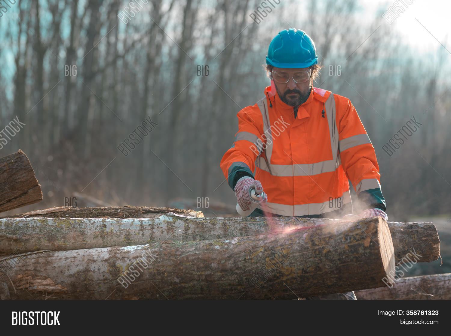 Forestry Technician Image & Photo (Free Trial) | Bigstock