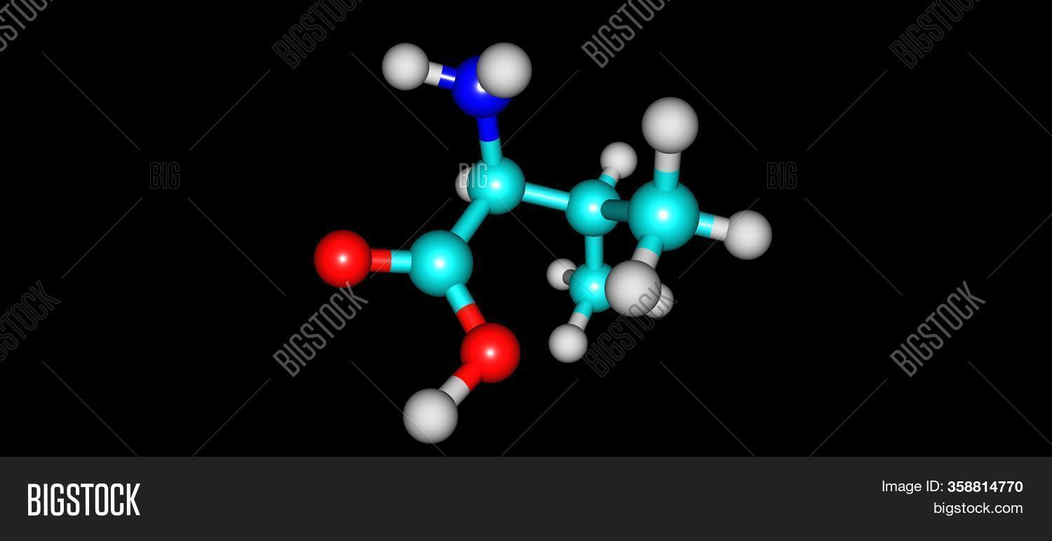 Valine Val Amino Acid Image & Photo (Free Trial) | Bigstock
