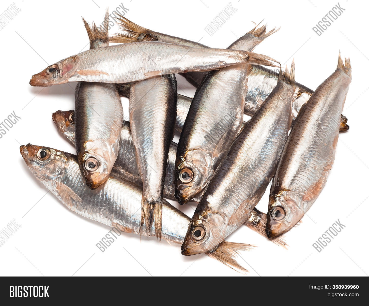 Sprat Salting On White Image & Photo (Free Trial) | Bigstock