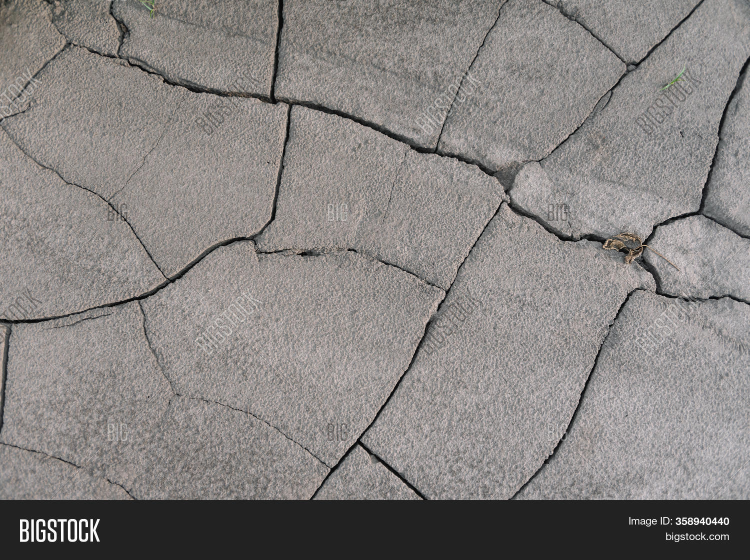 Grey Cracked Earth Image & Photo (Free Trial) | Bigstock