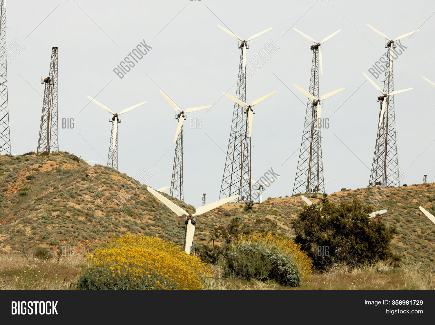 Vintage Older Wind Image & Photo (Free Trial) | Bigstock