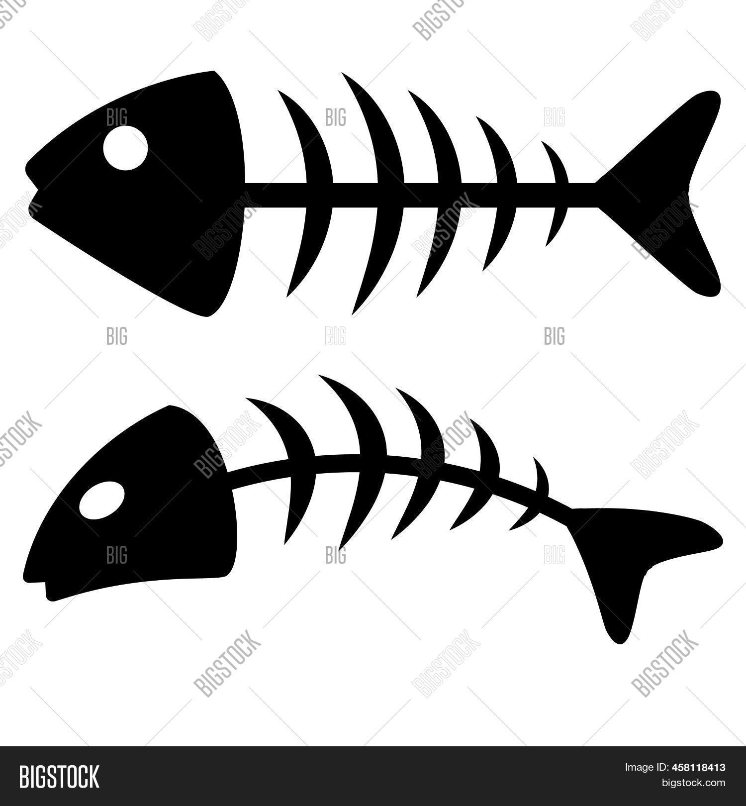 Fish Bone Icon On Image & Photo (Free Trial) | Bigstock