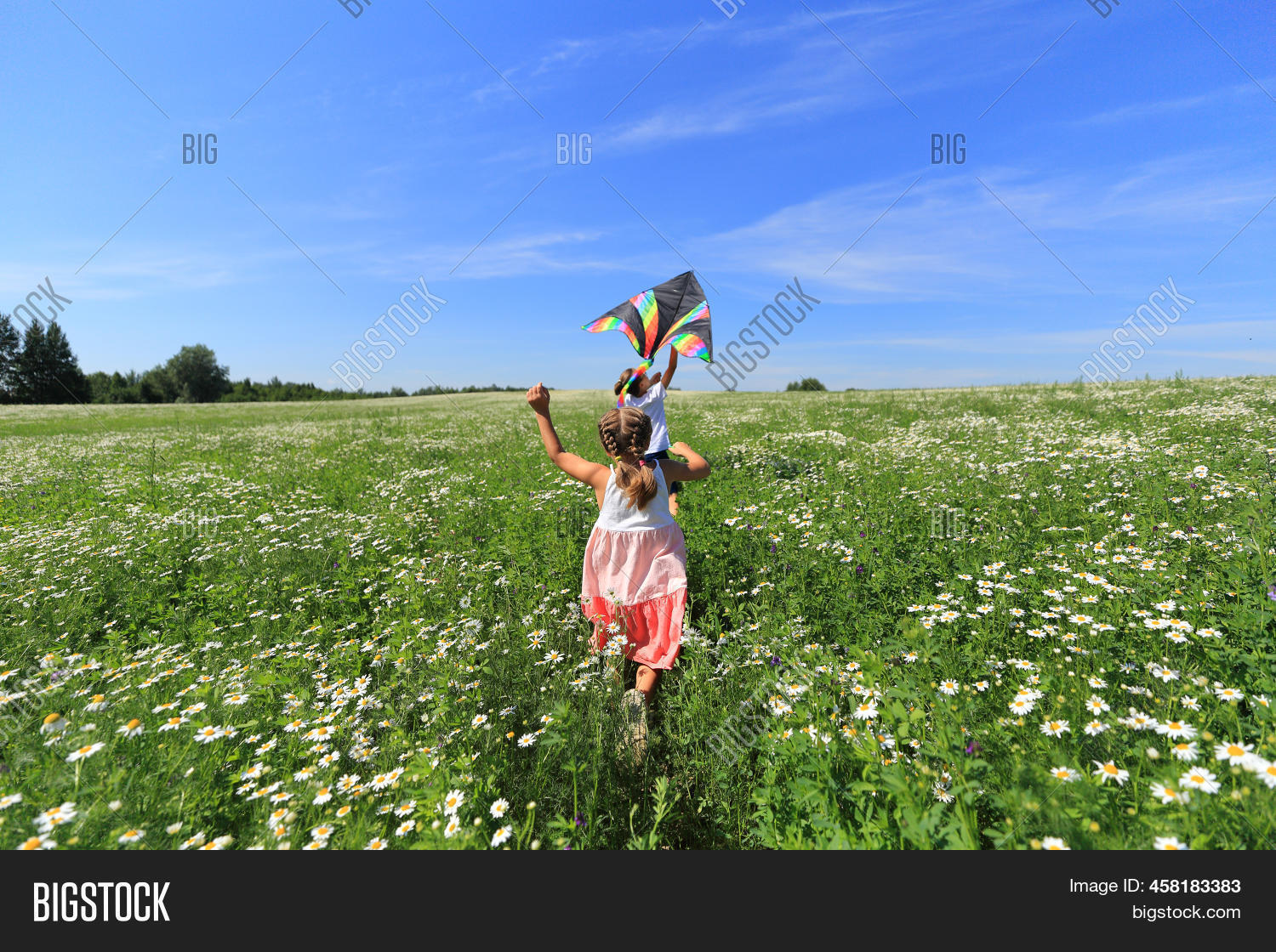 Two Children Chamomile Image & Photo (Free Trial) | Bigstock