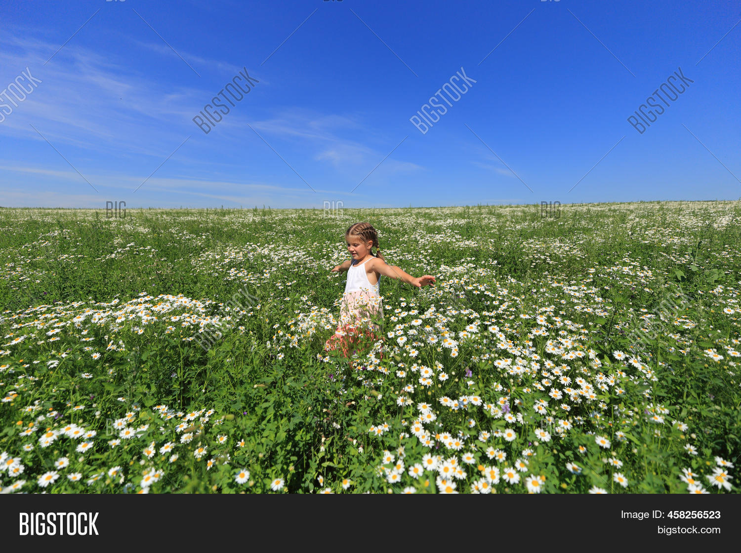 Two Children Chamomile Image & Photo (Free Trial) | Bigstock