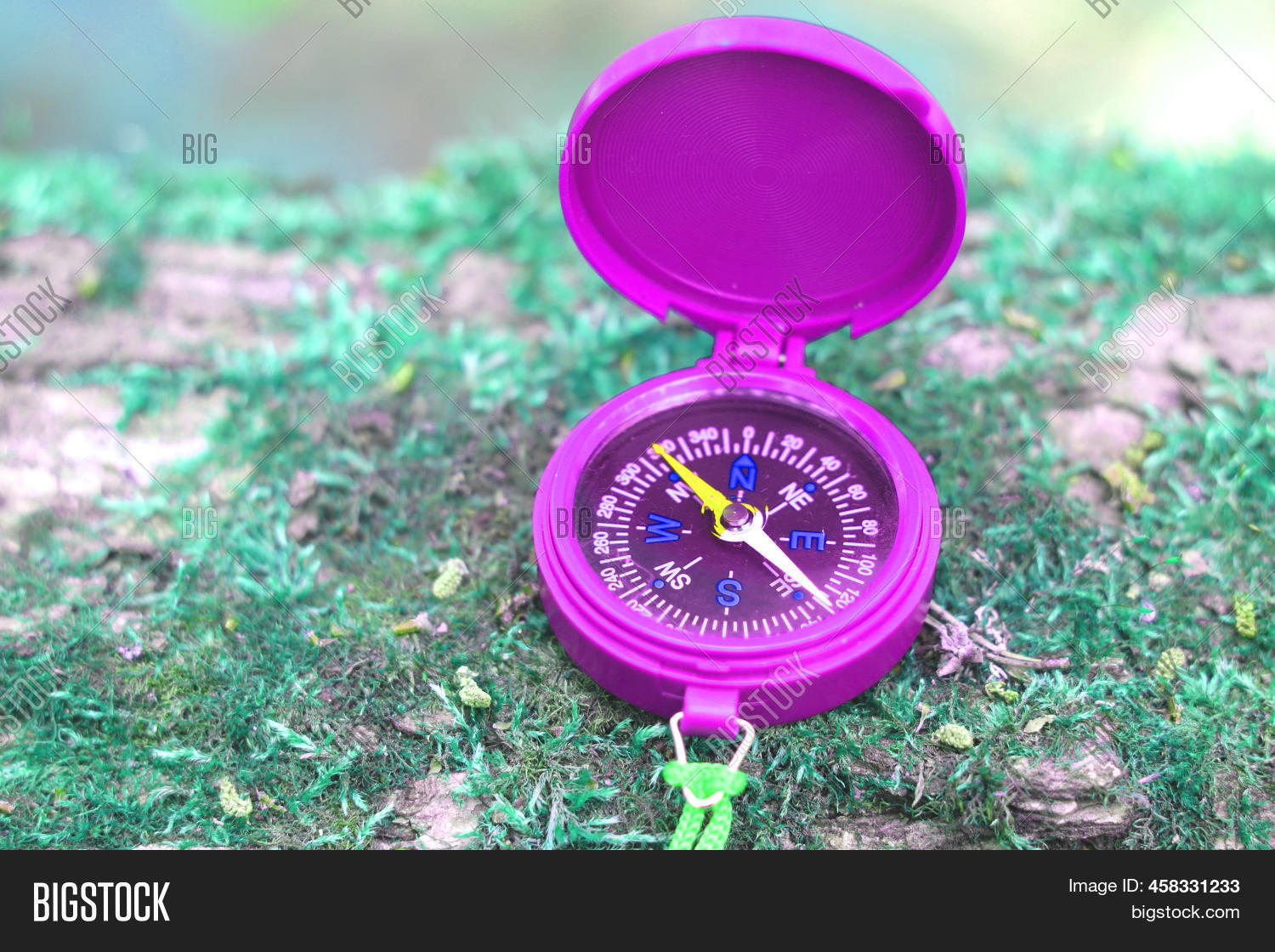 Round Compass On Image & Photo (Free Trial) | Bigstock