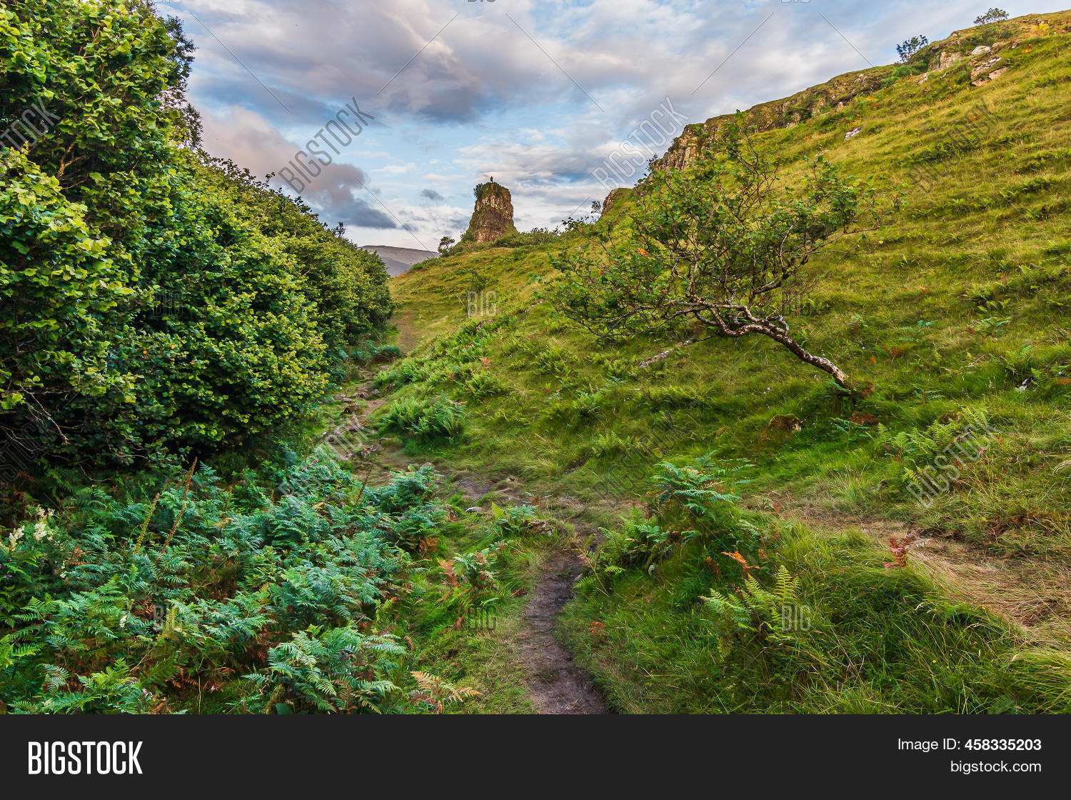 Landscape Path Leading Image & Photo (Free Trial) | Bigstock