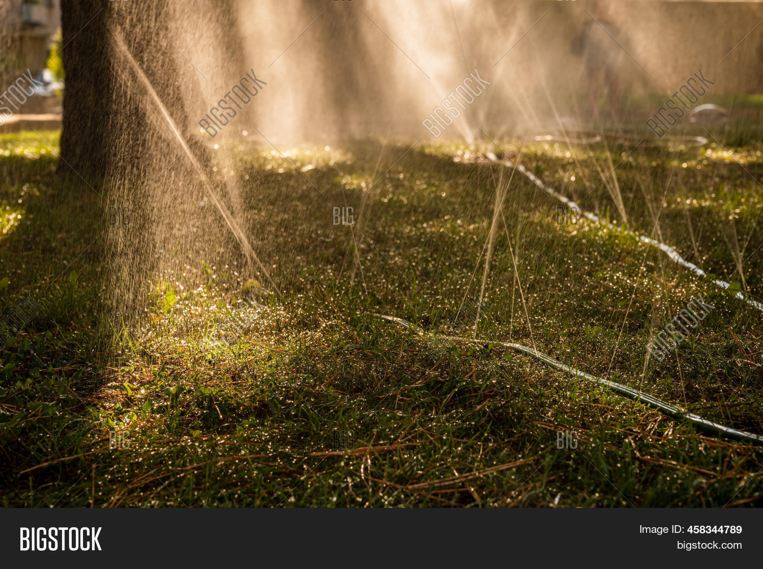 Sprinkler Spraying Image & Photo (Free Trial) | Bigstock