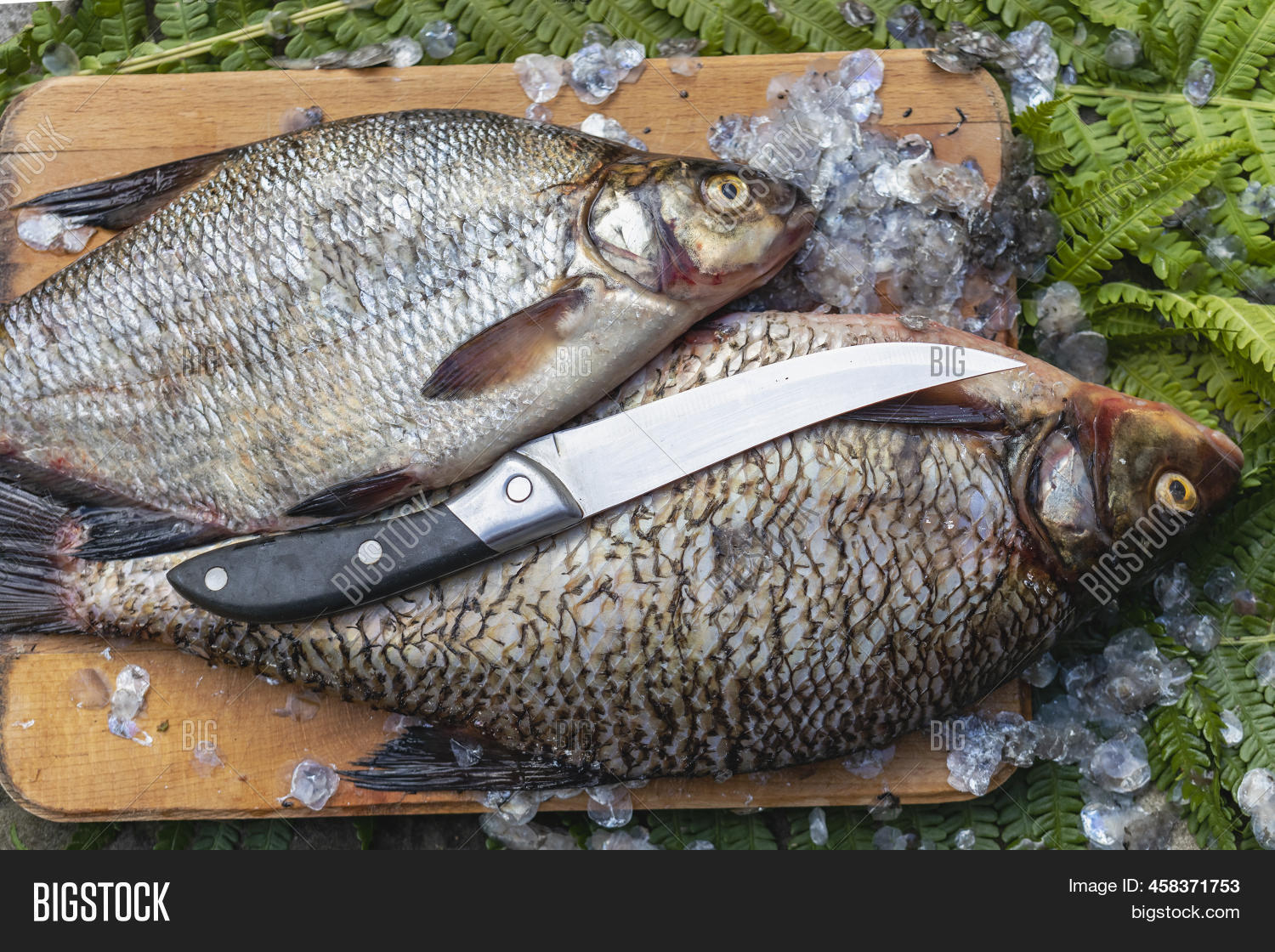 Big Fresh Bream. Image & Photo (Free Trial) | Bigstock