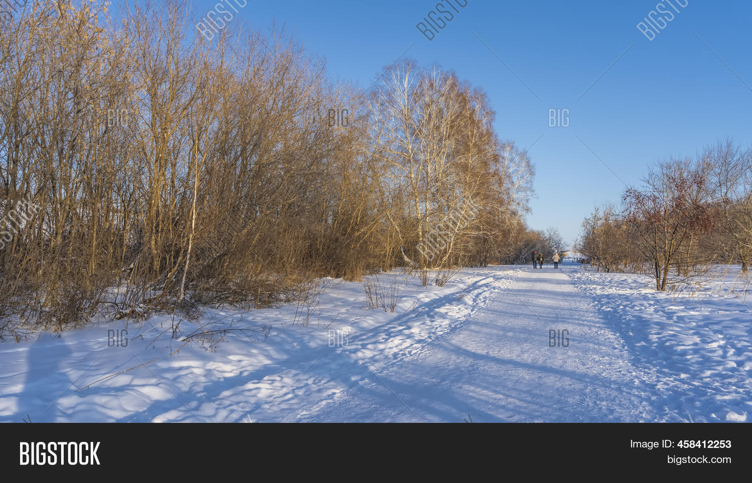 Footpath Trampled Image & Photo (Free Trial) | Bigstock