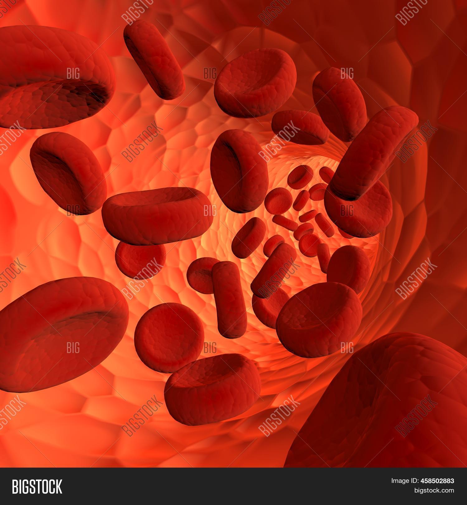 Imagen y foto Blood Cells Flying (prueba gratis) | Bigstock
