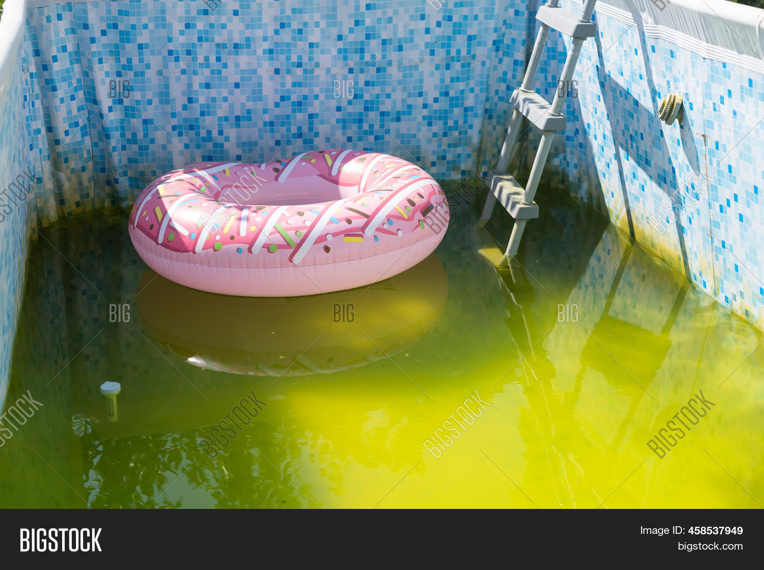 Very Dirty Pool Garden Image & Photo (Free Trial) | Bigstock