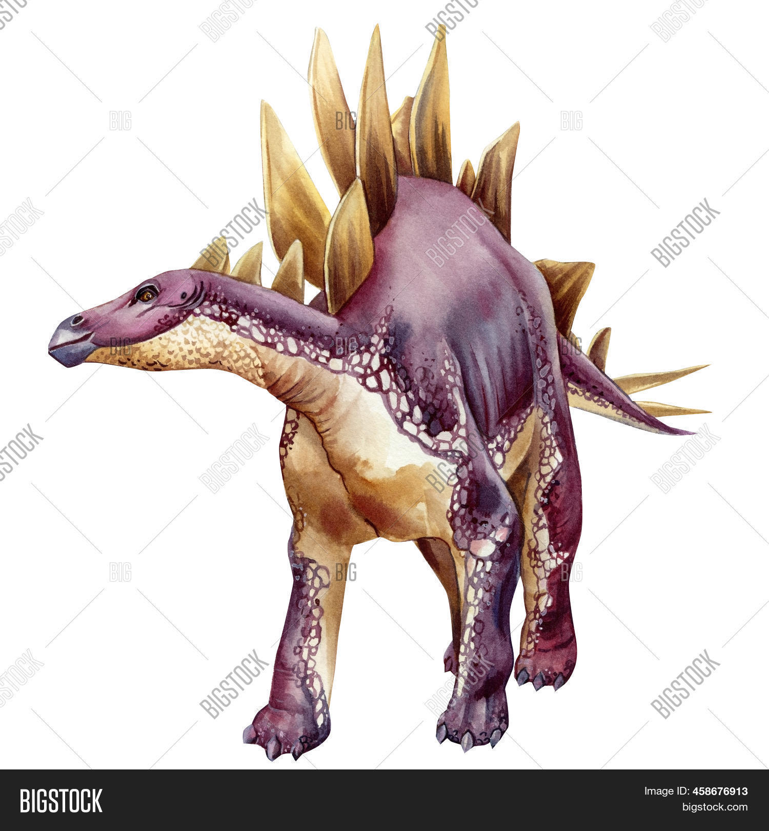 Stegosaurus Image & Photo (Free Trial) | Bigstock