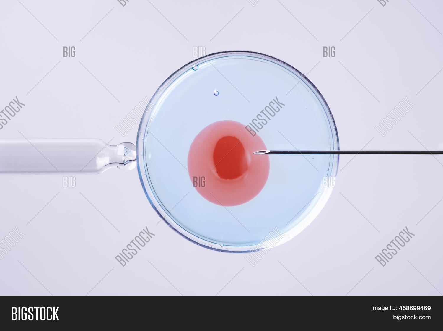 Vitro Fertilisation Image & Photo (Free Trial) | Bigstock