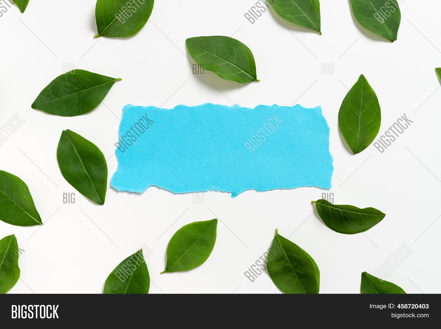 Blank Color Paper Image & Photo (Free Trial) | Bigstock