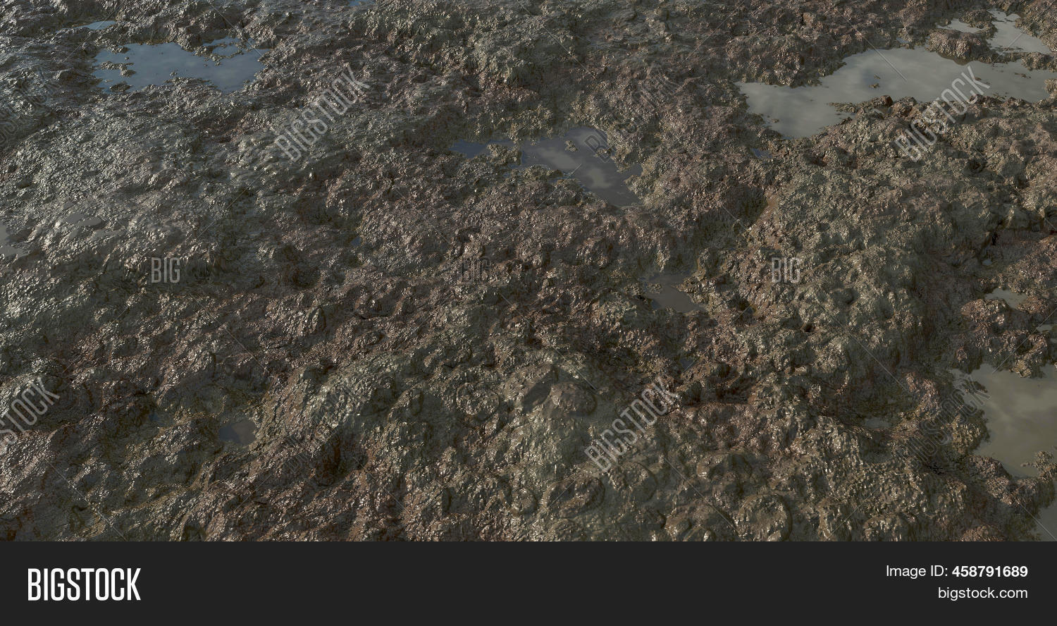 3d Realistic Dirt Wet Image & Photo (Free Trial) | Bigstock
