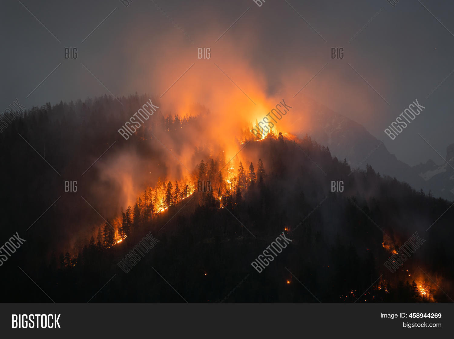 Forest Wildfire Night Image & Photo (Free Trial) | Bigstock