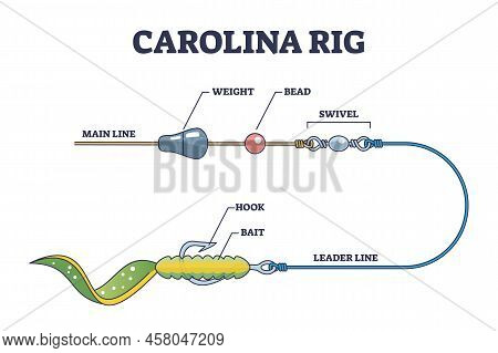 Carolina Rig Fishing Vector & Photo (Free Trial) | Bigstock
