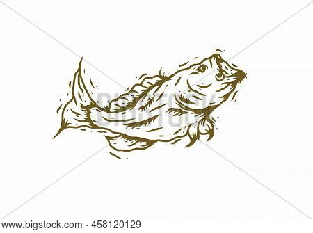 Big Bass Fish Line Vector & Photo (Free Trial) | Bigstock