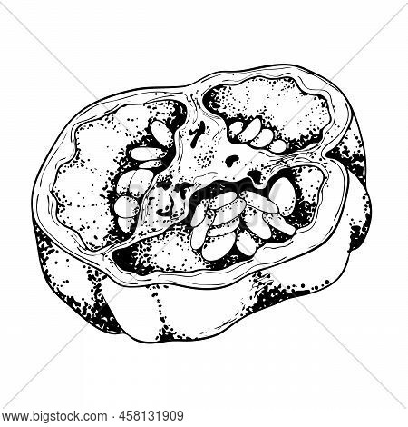 Drawing Pepper Cut Vector & Photo (Free Trial) | Bigstock
