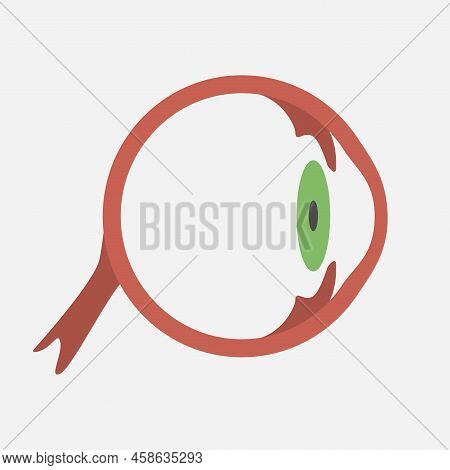 Eye Icon On White Vector & Photo (Free Trial) | Bigstock