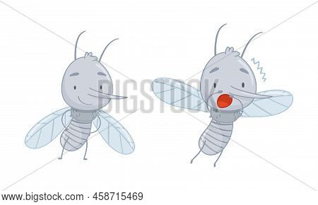 Cute Mosquito Set. Vector & Photo (Free Trial) | Bigstock