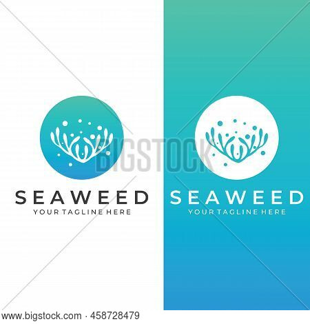 Seaweed Logo Template Vector & Photo (Free Trial) | Bigstock
