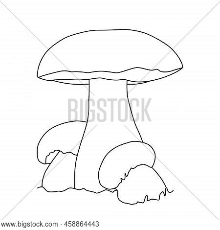 Mushroom Line Art Vector & Photo (Free Trial) | Bigstock