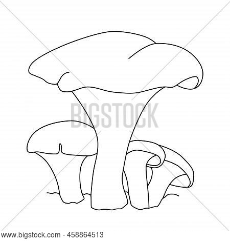 Mushroom Line Art Vector & Photo (Free Trial) | Bigstock