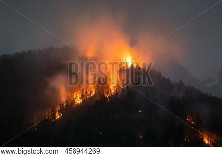 Forest Wildfire Night Image & Photo (Free Trial) | Bigstock