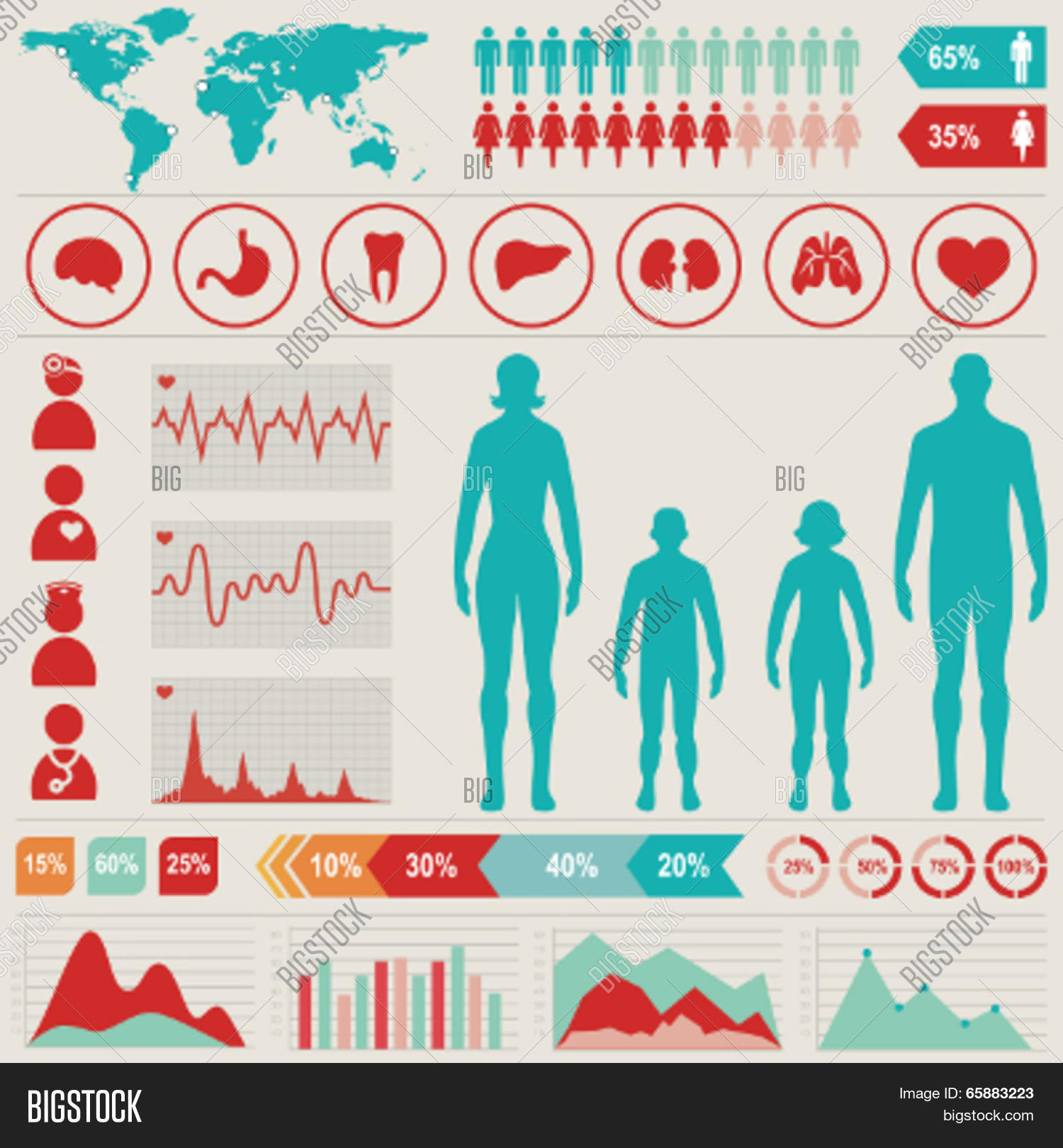 Medical Infographic Vector & Photo (Free Trial) | Bigstock