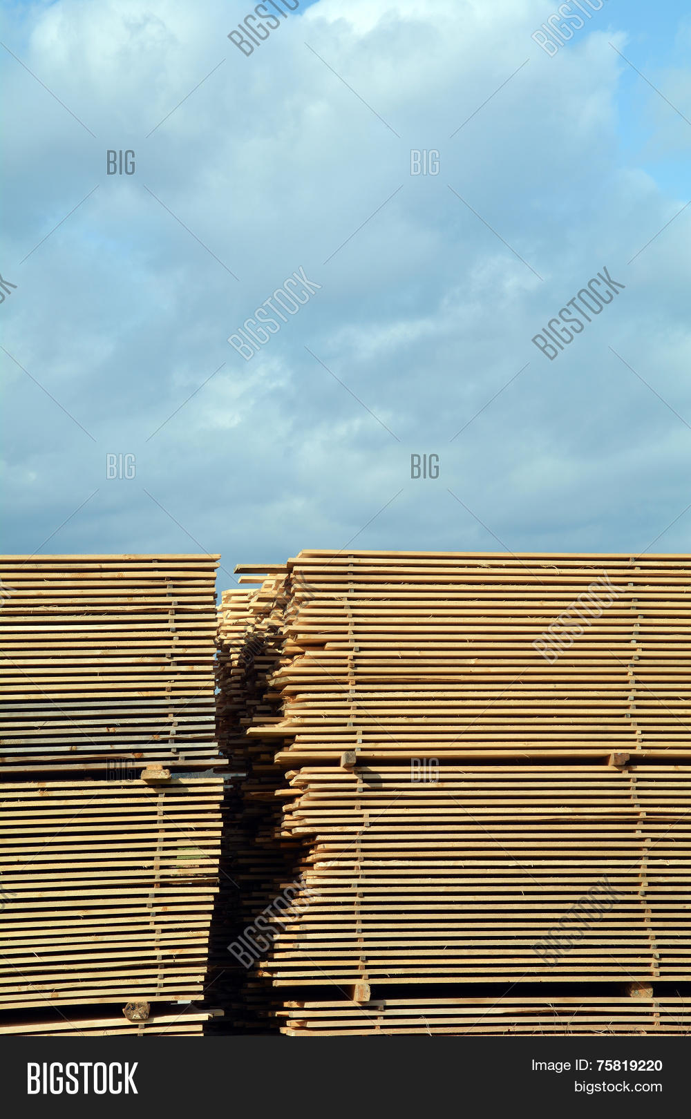 Stacked Lumber Image & Photo (Free Trial) | Bigstock