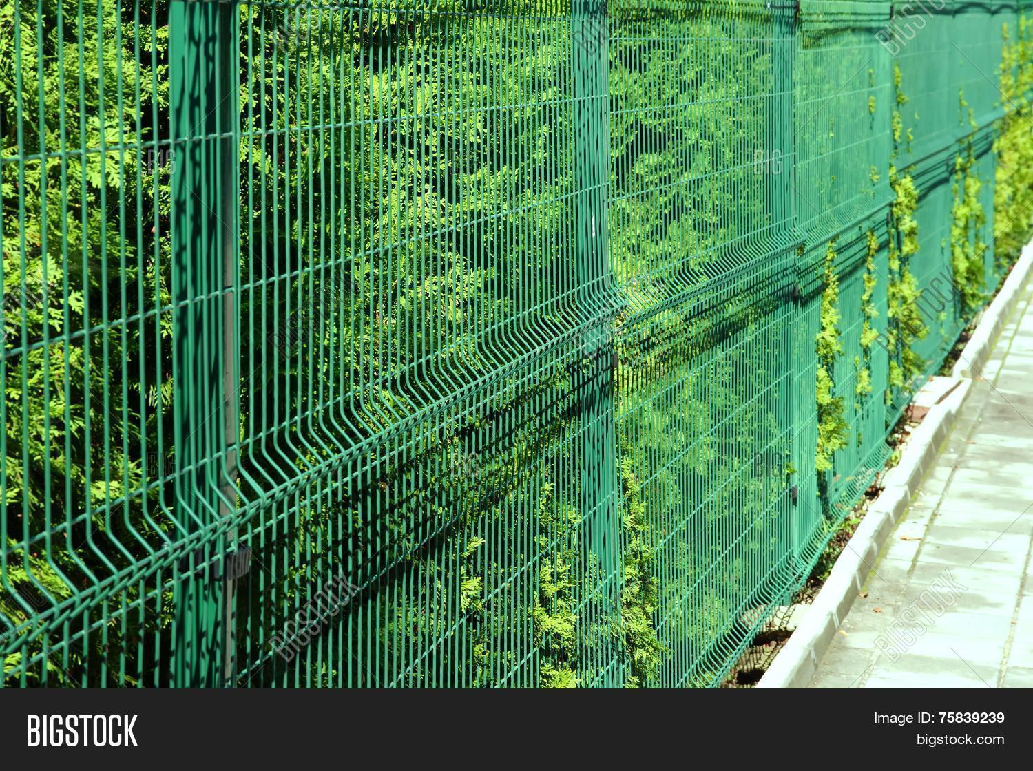 Rigid Mesh Fencing Image & Photo (Free Trial) | Bigstock