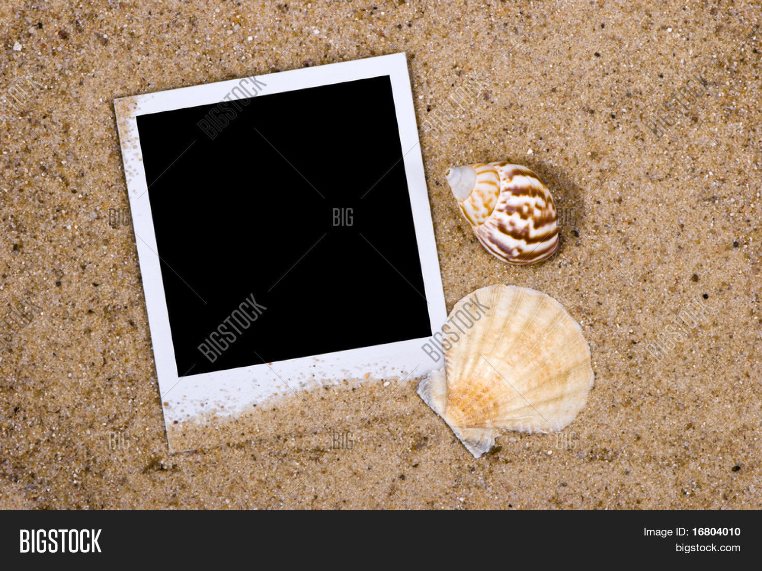 Photo Frame Sea Shells Image & Photo (Free Trial) | Bigstock