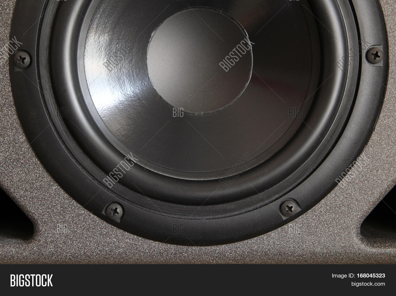 Woofer Bass Cone High Image & Photo (Free Trial) | Bigstock